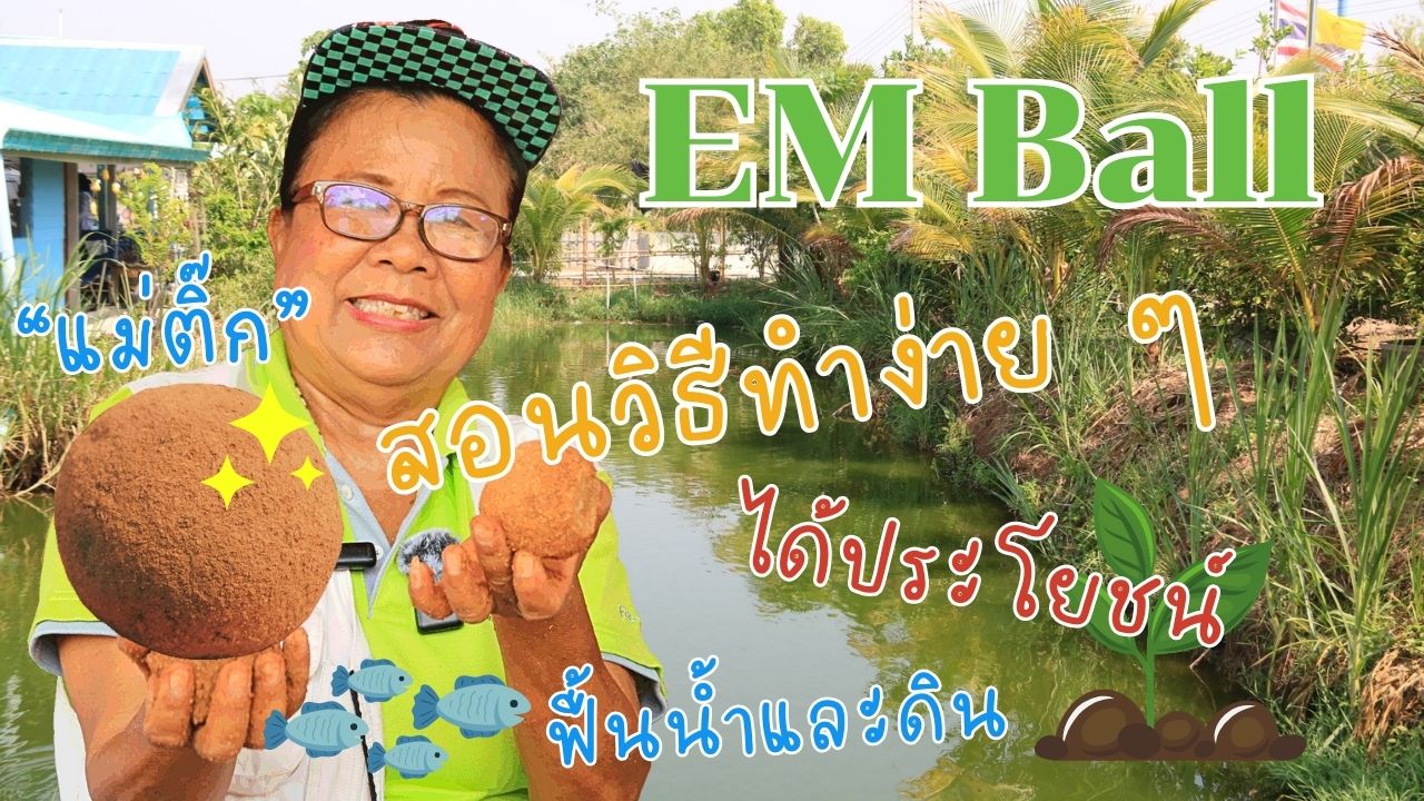 EM Ball ทำง่าย ๆ ใน 5 นาที – สถาบันบริหารจัดการธนาคารที่ดิน (องค์การมหาชน)